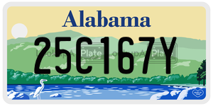 25C167Y (AL) License Plate: User Reports & Vehicle Information!
