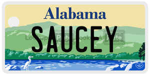SAUCEY (AL) License Plate: User Reports & Vehicle Information!