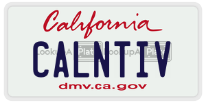 CALNTIV (CA) License Plate: User Reports & Vehicle Information!