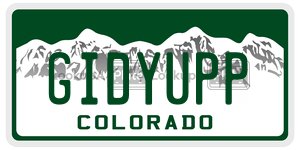 GIDYUPP (CO) License Plate: User Reports & Vehicle Information!