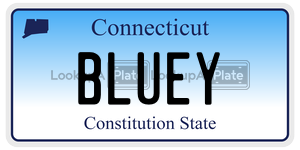 BLUEY (CT) License Plate: User Reports & Vehicle Information!