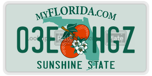 03EHGZ (FL) License Plate: User Reports & Vehicle Information!
