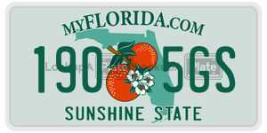 1905GS (FL) License Plate: User Reports & Vehicle Information!
