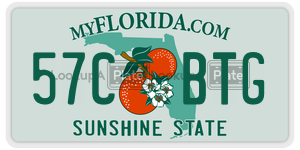Florida License Plate Lookup: Report a FL Plate (Free Search)