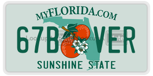 67BVER (FL) License Plate: User Reports & Vehicle Information!