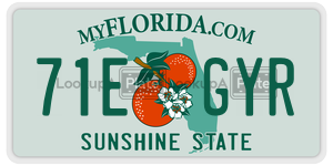 71EGYR (FL) License Plate: User Reports & Vehicle Information!