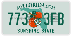 7733FB (FL) License Plate: User Reports & Vehicle Information!