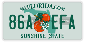 86AEFA (FL) License Plate: User Reports & Vehicle Information!
