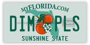 DIMPLS (FL) License Plate: User Reports & Vehicle Information!