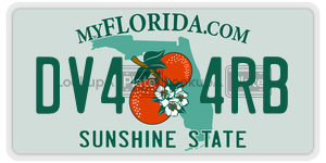DV44RB (FL) License Plate: User Reports & Vehicle Information!