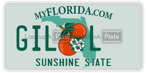 GILL (FL) License Plate: User Reports & Vehicle Information!