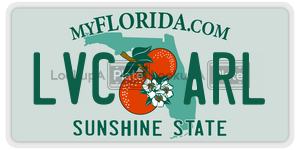 LVCARL (FL) License Plate: User Reports & Vehicle Information!