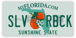 SLVRBCK (FL) License Plate: User Reports & Vehicle Information!