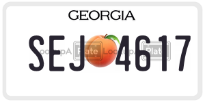 SEJ4617 (GA) License Plate: User Reports & Vehicle Information!