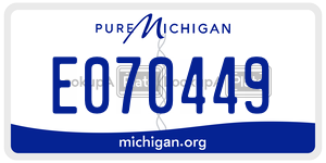 E070449 (MI) License Plate: User Reports & Vehicle Information!