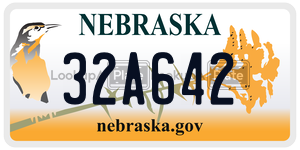 Nebraska License Plate Lookup: Report a NE Plate (Free Search)