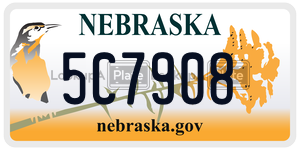Nebraska License Plate Lookup: Report a NE Plate (Free Search)