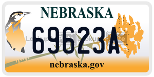 Nebraska License Plate Lookup: Report a NE Plate (Free Search)