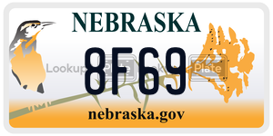 Nebraska License Plate Lookup: Report a NE Plate (Free Search)