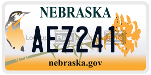 Nebraska License Plate Lookup: Report a NE Plate (Free Search)
