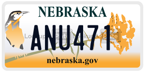 Nebraska License Plate Lookup: Report a NE Plate (Free Search)