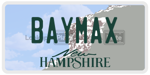 BAYMAX (NH) License Plate: User Reports & Vehicle Information!