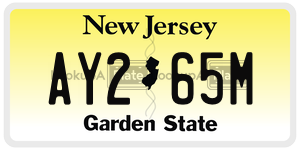New Jersey License Plate Lookup: Report a NJ Plate (Free Search)
