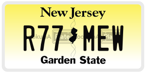 New Jersey License Plate Lookup: Report a NJ Plate (Free Search)
