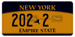 2022 (NY) License Plate: User Reports & Vehicle Information!
