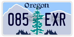 085EXR (OR) License Plate: User Reports & Vehicle Information!
