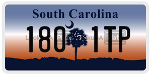 South Carolina License Plate Lookup: Report a SC Plate (Free Search)