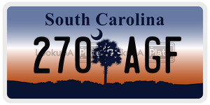 South Carolina License Plate Lookup: Report a SC Plate (Free Search)