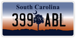 South Carolina License Plate Lookup: Report a SC Plate (Free Search)