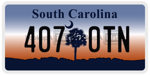 South Carolina License Plate Lookup: Report a SC Plate (Free Search)