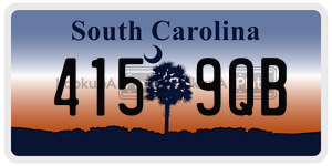 South Carolina License Plate Lookup: Report a SC Plate (Free Search)