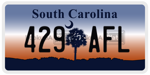 429AFL (SC) License Plate: User Reports & Vehicle Information!