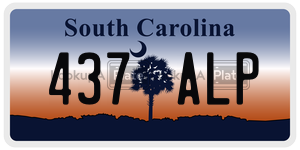 437ALP (SC) License Plate: User Reports & Vehicle Information!
