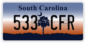 South Carolina License Plate Lookup: Report a SC Plate (Free Search)