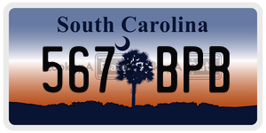 South Carolina License Plate Lookup: Report a SC Plate (Free Search)