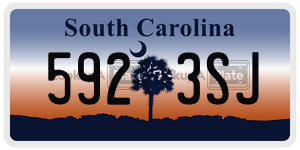 South Carolina License Plate Lookup: Report a SC Plate (Free Search)