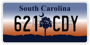 South Carolina License Plate Lookup: Report a SC Plate (Free Search)