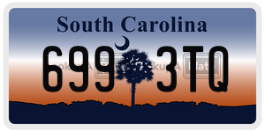 South Carolina License Plate Lookup: Report a SC Plate (Free Search)