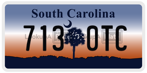 7130TC (SC) License Plate: User Reports & Vehicle Information!