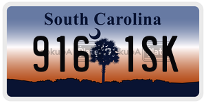 9161SK (SC) License Plate: User Reports & Vehicle Information!