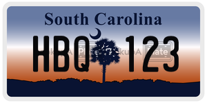 South Carolina License Plate Lookup: Report a SC Plate (Free Search)