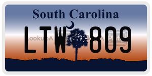 South Carolina License Plate Lookup: Report a SC Plate (Free Search)