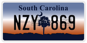 South Carolina License Plate Lookup: Report a SC Plate (Free Search)