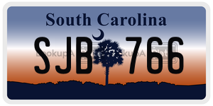 South Carolina License Plate Lookup: Report a SC Plate (Free Search)