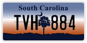 South Carolina License Plate Lookup: Report a SC Plate (Free Search)