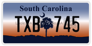 South Carolina License Plate Lookup: Report a SC Plate (Free Search)
